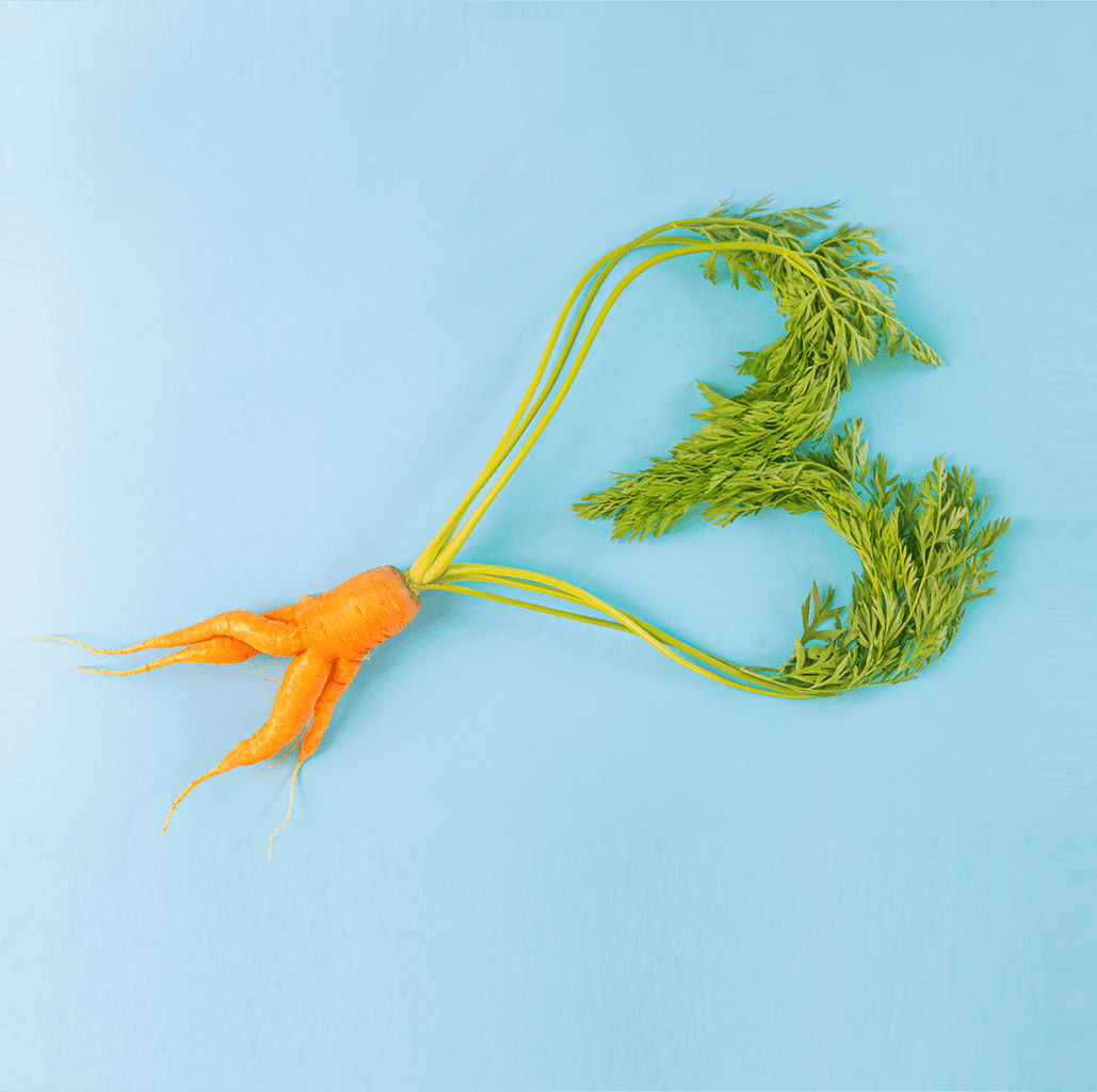 About Us | Happy Planet Foods